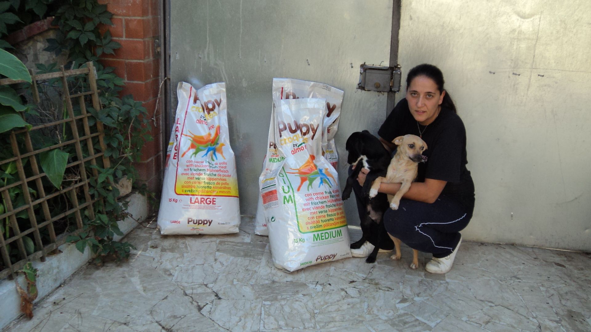 Unsere Tierschutz-Partner | Animal Respect